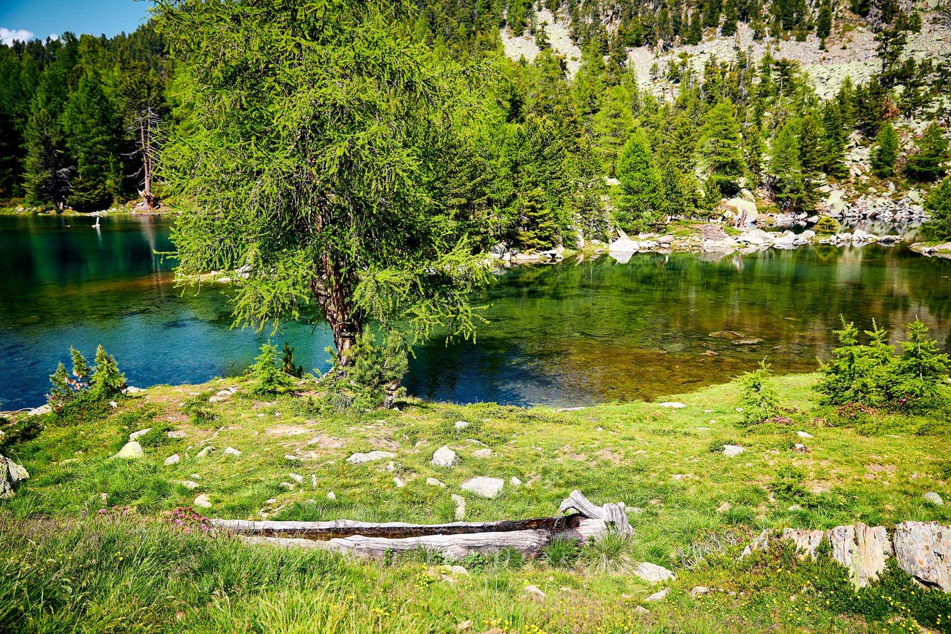 Escursione al lago dei Cirmoli Zirmtalsee – GetOutside